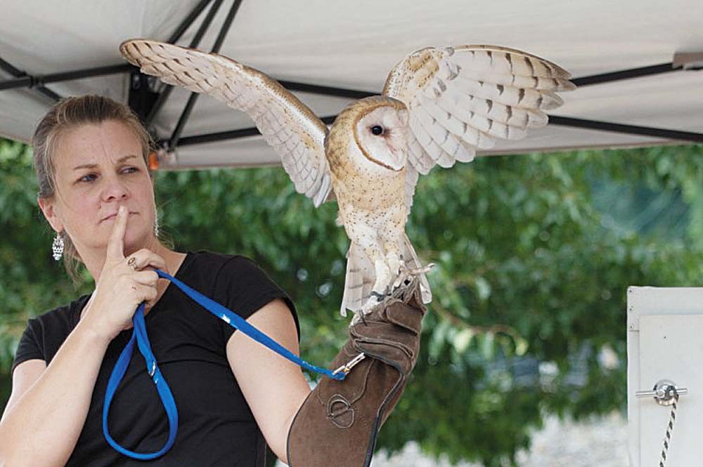 Atglen Library Announces Return Of Wizard Faire | TownLively
