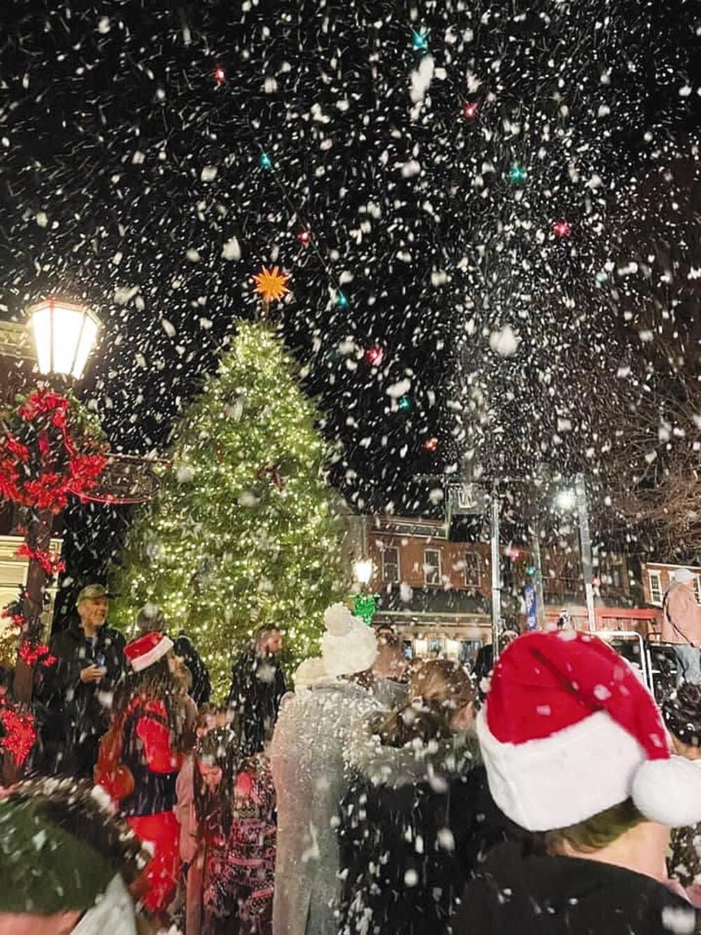 Christmas In Manheim | TownLively