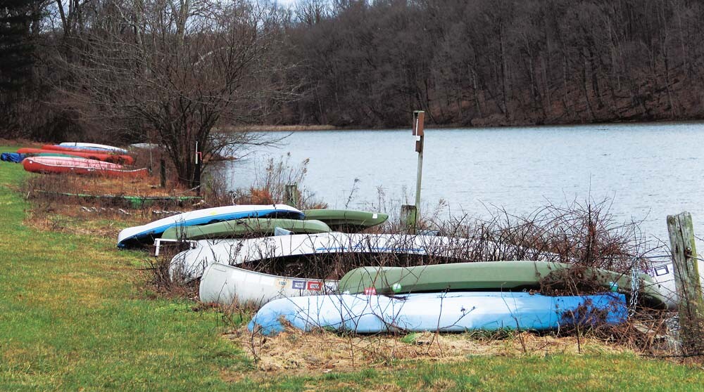 Speedwell Forge Park - come for the recreation, stay for the beauty ...