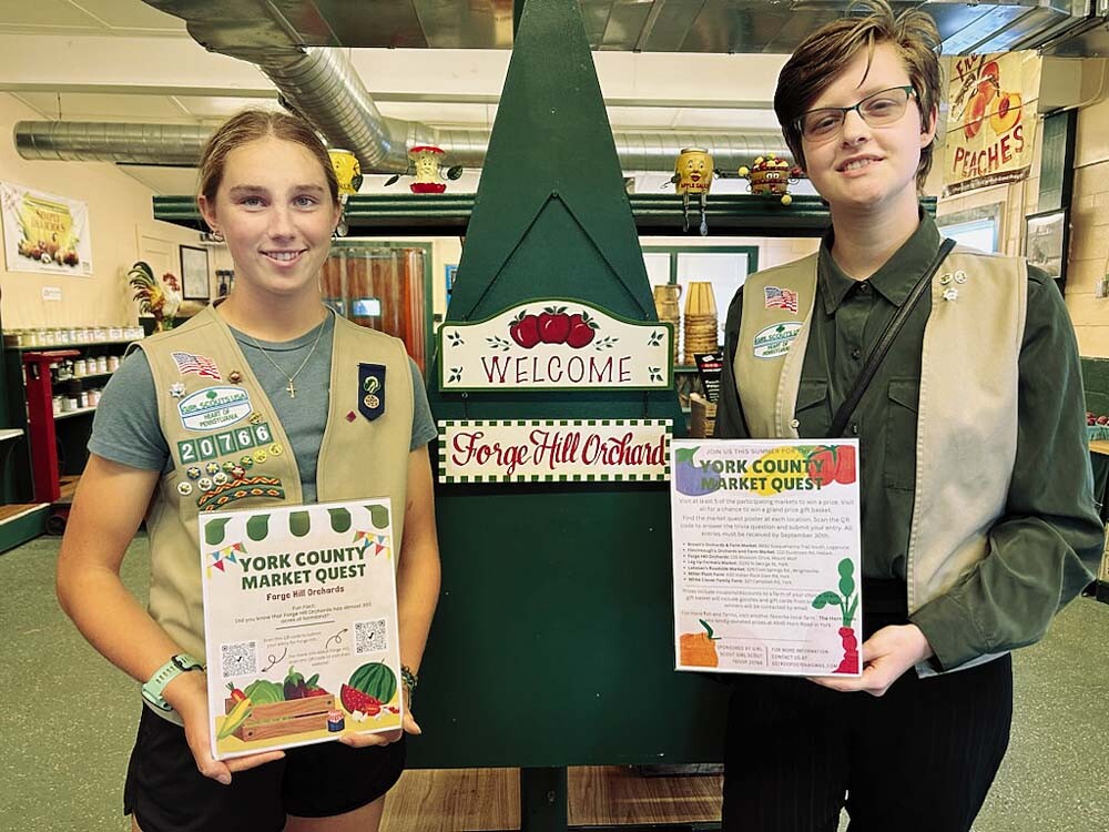 Girl Scouts encourage people to shop local | TownLively