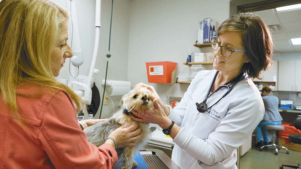 Veterinarian to open practice in Lime Spring Square | TownLively