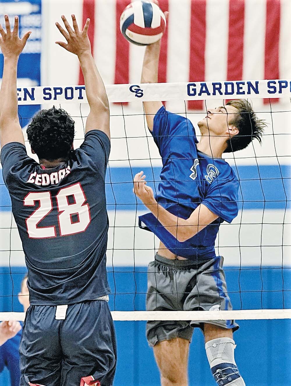 Spot volleyball tops Lebanon and Cocalico | TownLively